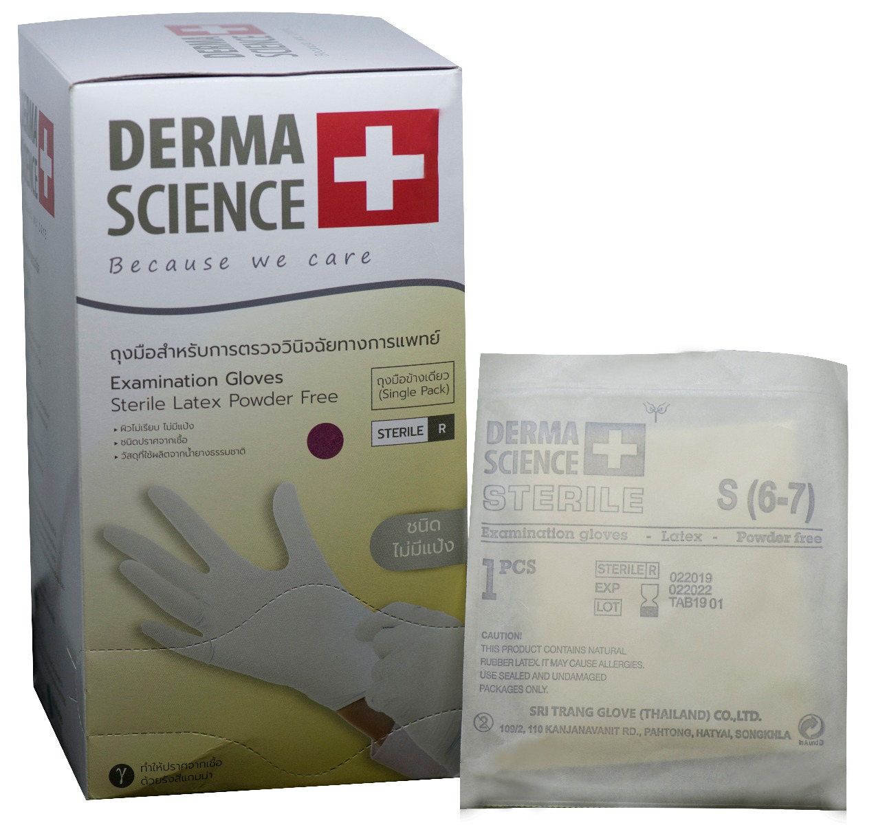 เดอร์มาซายน์ (DERMA SCIENCE) ถุงมือสเตอร์ไรด์ ไซส์ S สำหรับดูดเสมหะ ...