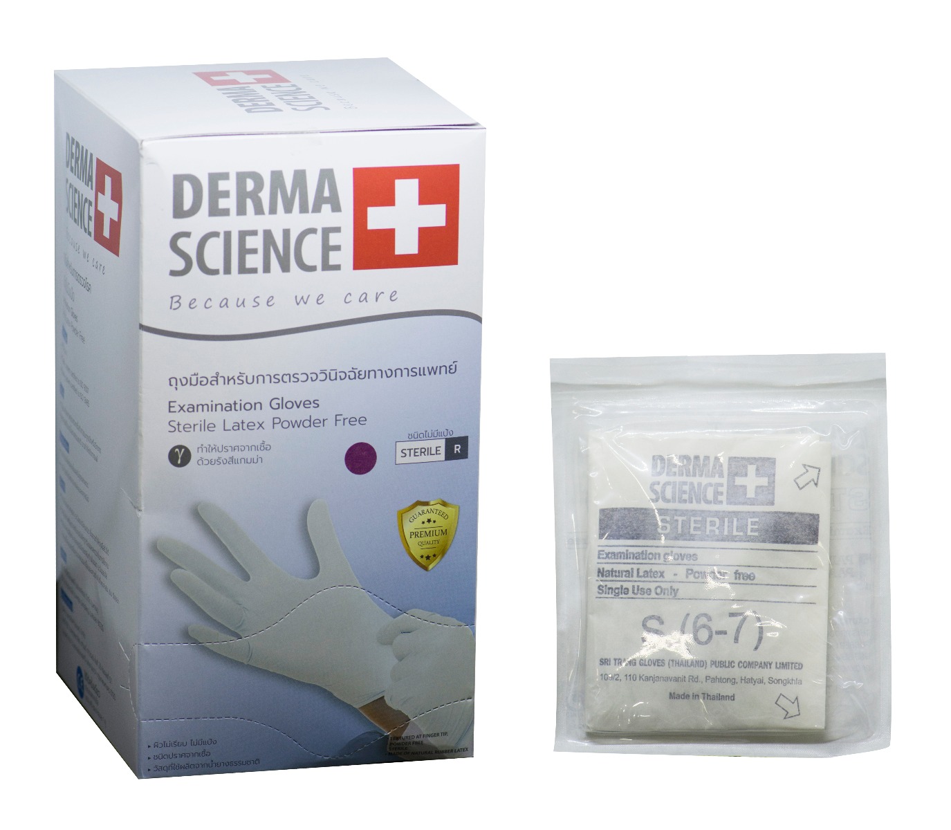 เดอร์มาซายน์ (DERMA SCIENCE) ถุงมือสเตอร์ไรด์ ไซส์ M | Allgenhealth